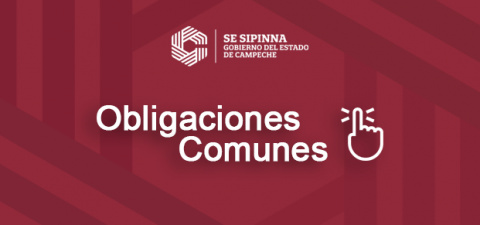 Transparencia | Sipinna